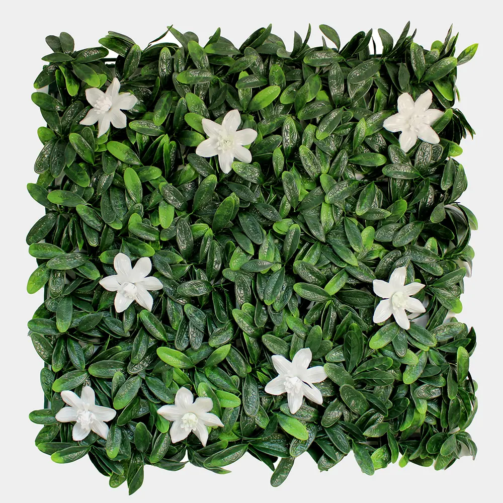 Jardin Vertical Cali 50x50 - Green Deco Store
