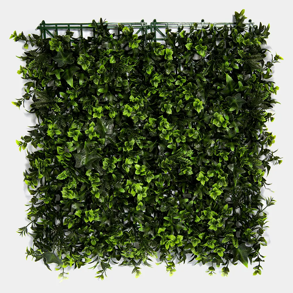 Jardin Vertical Lima 50x50 - Green Deco Store