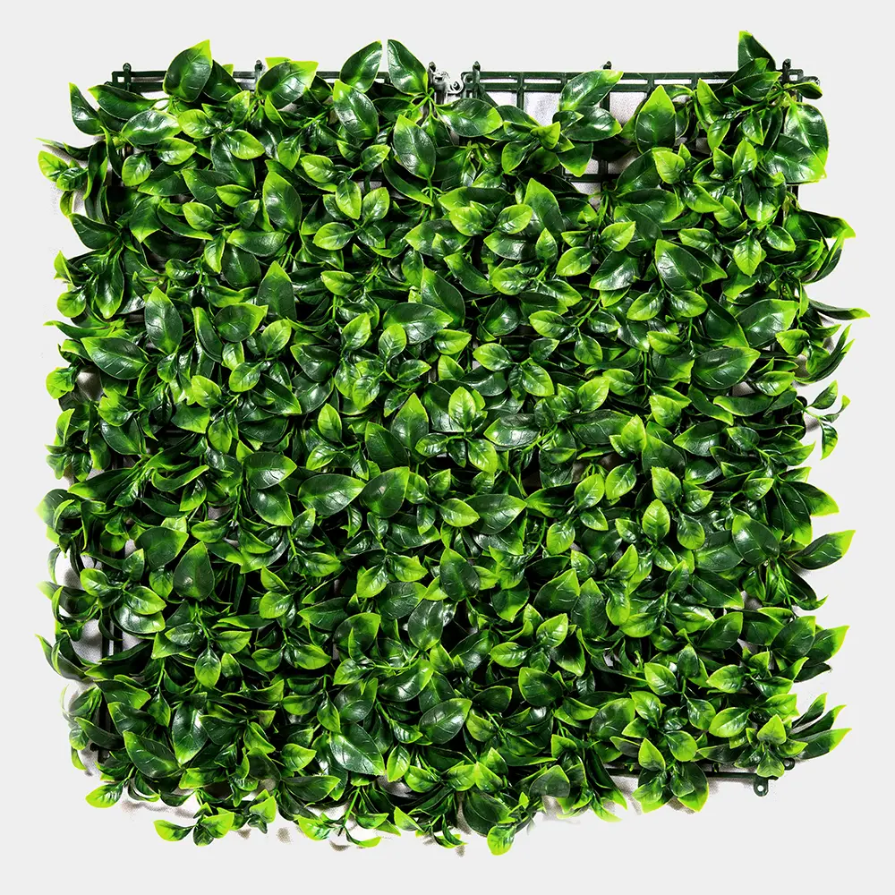 Jardin Vertical Miami 50x50 - Green Deco Store