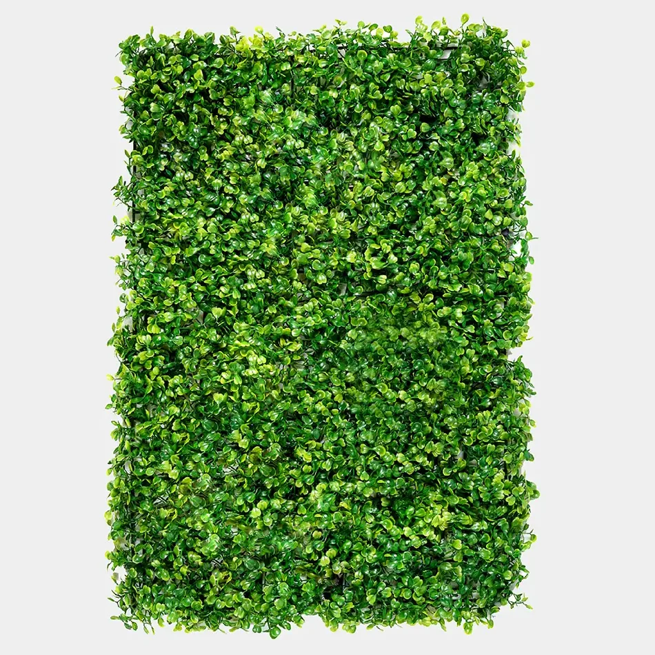 Jardin Vertical Buenos Aires Claro 40x60 - greendeco