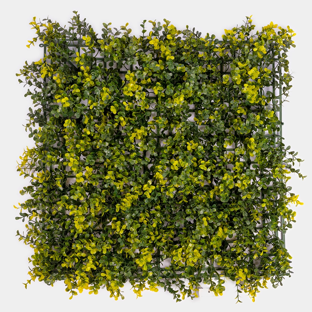 Jardin Vertical Berlín 50x50 - Green Deco Store