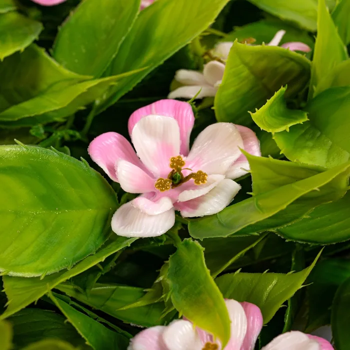 Jardin Vertical Brujas 50×50 – greendeco